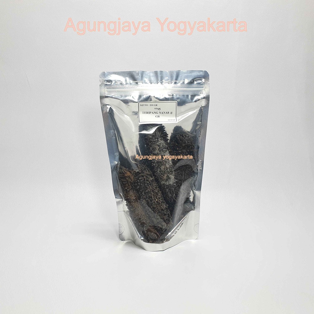 Jual Teripang Nanas / Timun Laut / Sea Cucumber / Haisom ( export ...