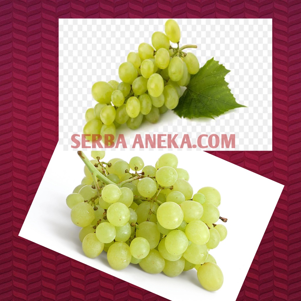 Jual ( 500 GRAM ) - BUAH ANGGUR AUSTRALIA/ ANGGUR HIJAU AUS | Shopee ...