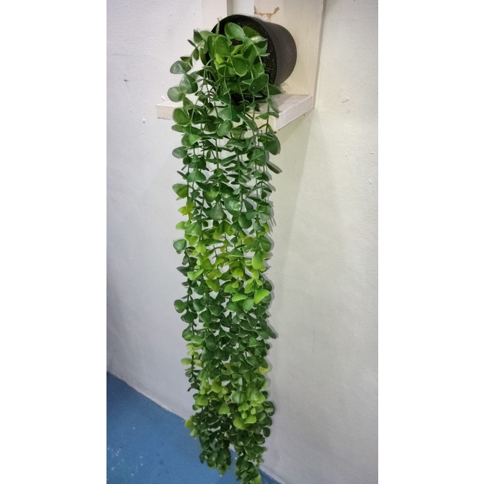 Jual [BISA COD] Az Daun Rambat Plastik Tanaman Hias Artificial Dekorasi ...