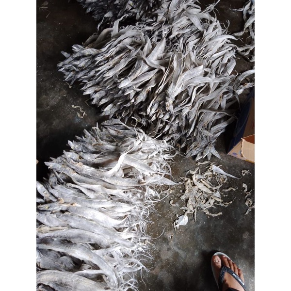 Jual Ikan Layur/Maledang fresh kering | Shopee Indonesia