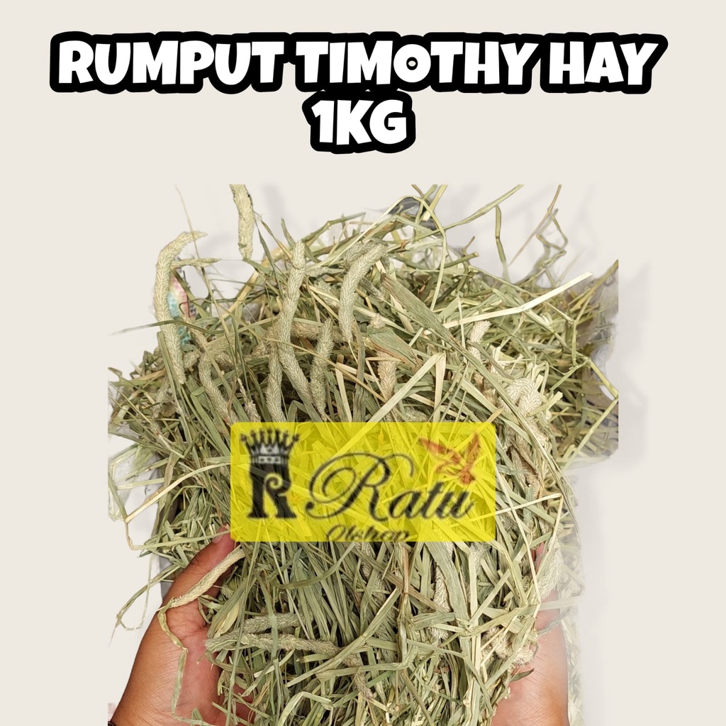 Jual Timothy Hay 1kg - Rumput Hay - Hay Kelinci - KEMASAN 1KG | Shopee ...