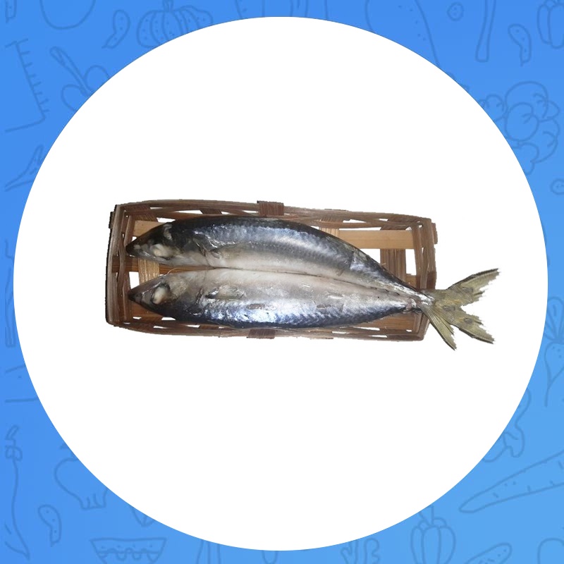 Jual TONGKOL 1KOTAK | Shopee Indonesia