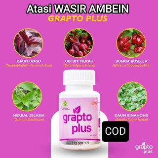 Jual Grapto Terlengkap & Harga Terbaru Mei 2024 | Shopee Indonesia