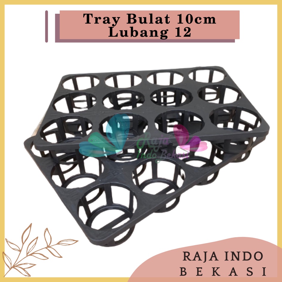 Jual Tray Bulat 10cm Lubang 12 Untuk Anggrek/Pot Semai Pot Bulat Bibit ...