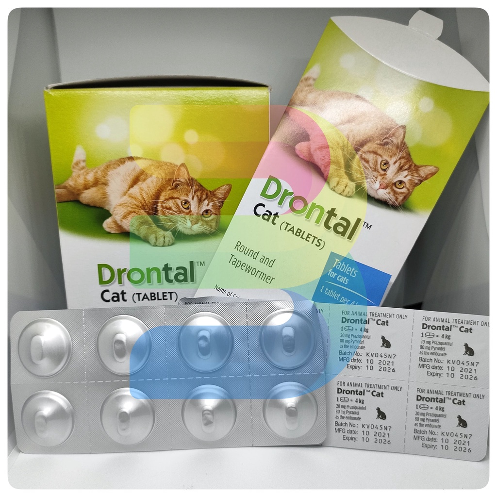 Jual Drontal Cat Obat Cacing Tablet (Harga 1 tablet) - Obat Cacing ...