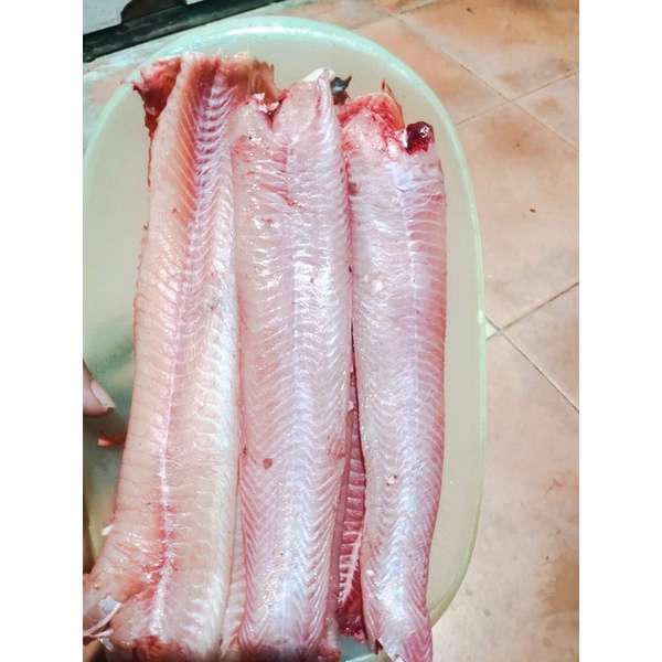 Jual IKAN gabus fillet tawar 1kg | Shopee Indonesia