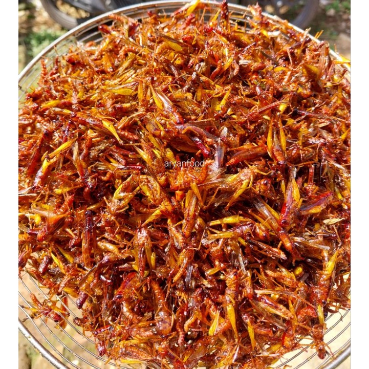 Jual belalang/simeut goreng kecil gurih oleh-oleh majalengka | Shopee ...