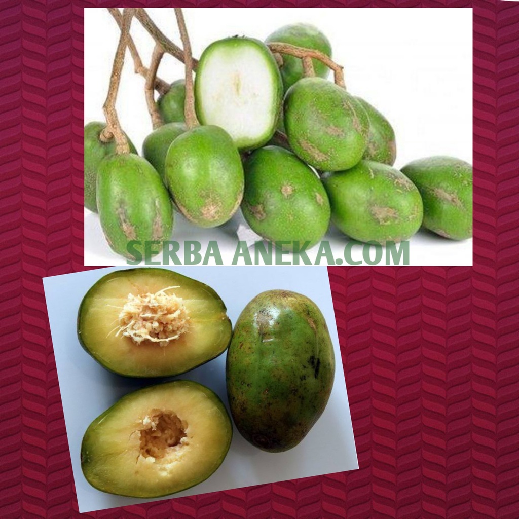 Jual Buah Kedondong/ Buah dondong ( Harga Per 1 kgm) | Shopee Indonesia