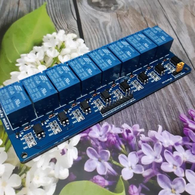 Jual Relay Module 8 Ch 24V DC Low Level Trigger +Optocoupler High ...