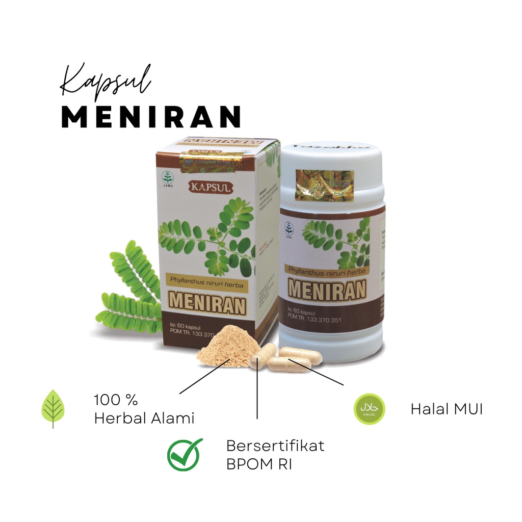 Jual Kapsul Daun Meniran Imun Booster Antioksidan Herbal Tazakka ...