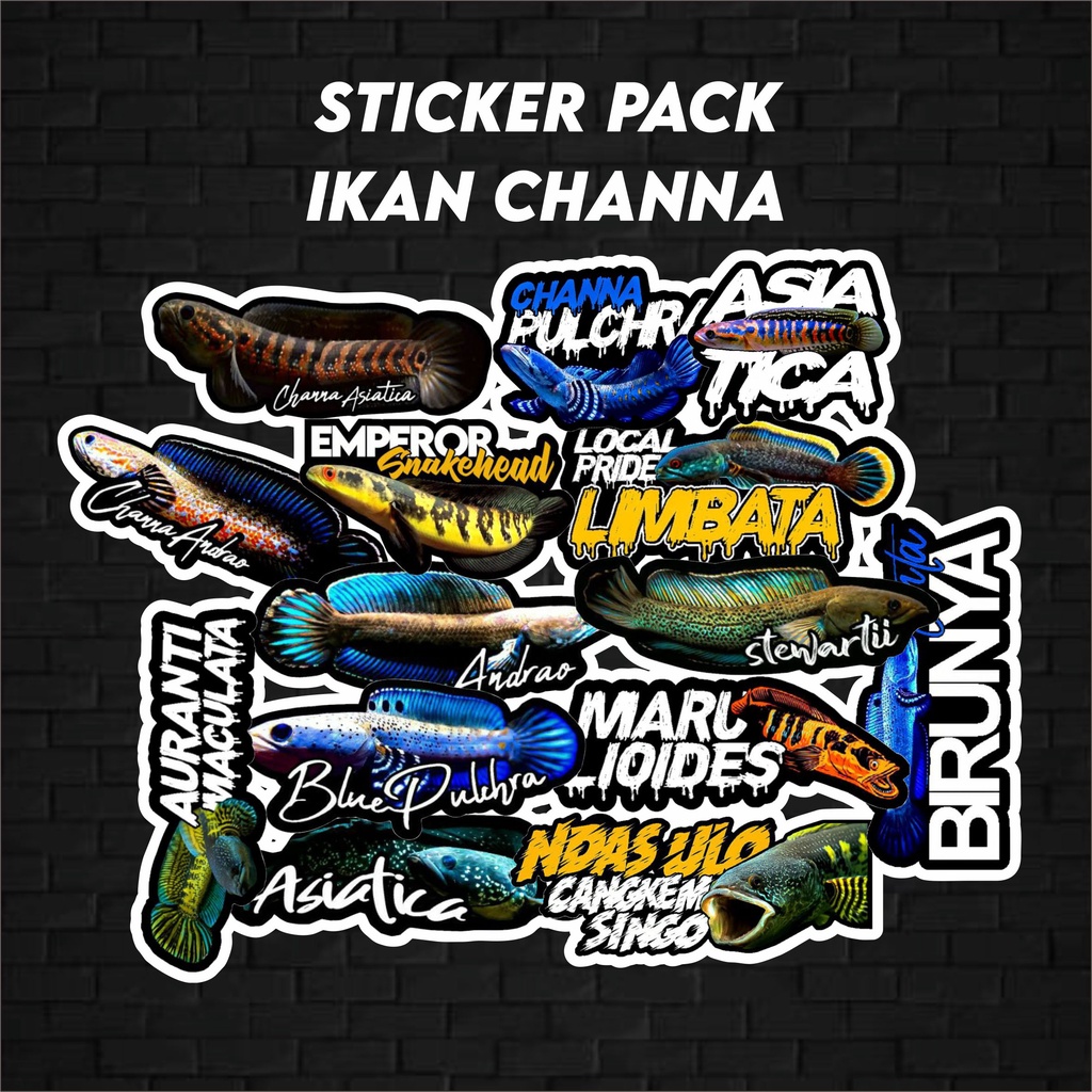 Jual Sticker aquarium sticker Pack ikan channa Sticker akuarium ikan ...