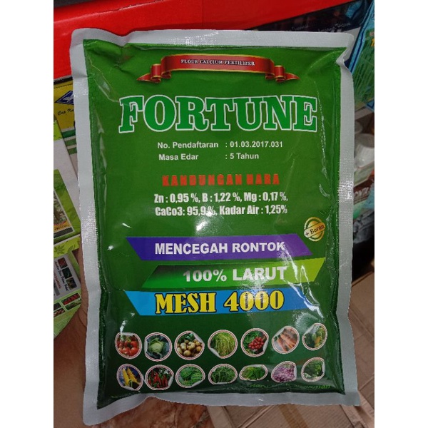 Jual Pupuk Kalsium Boron plus Zn Fortune Mesh 4000 cepat larut kemasan ...
