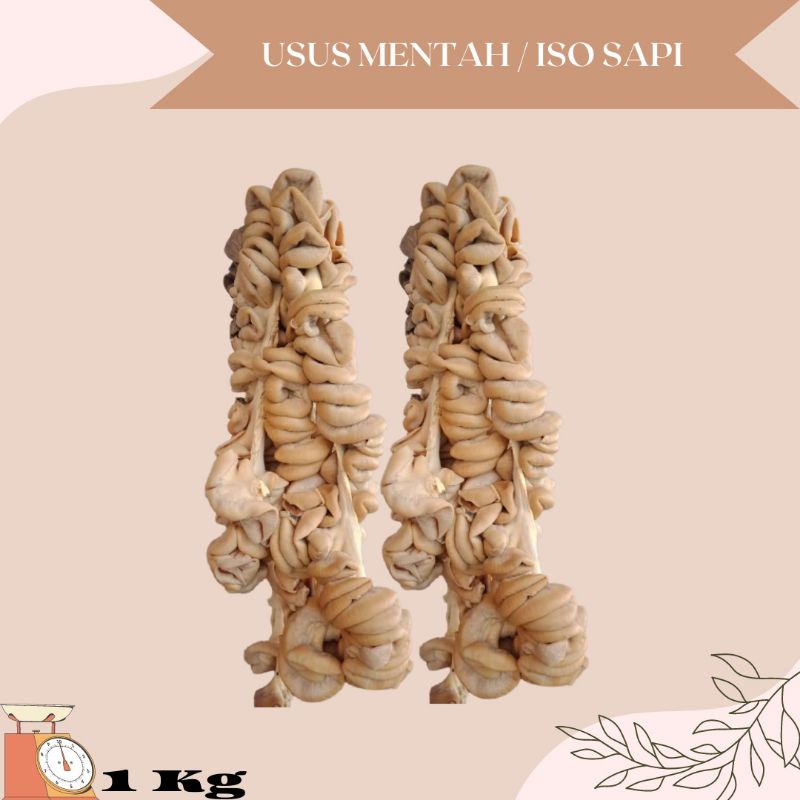 Jual Usus mentah/ ISO sapi 1 Kg | Shopee Indonesia