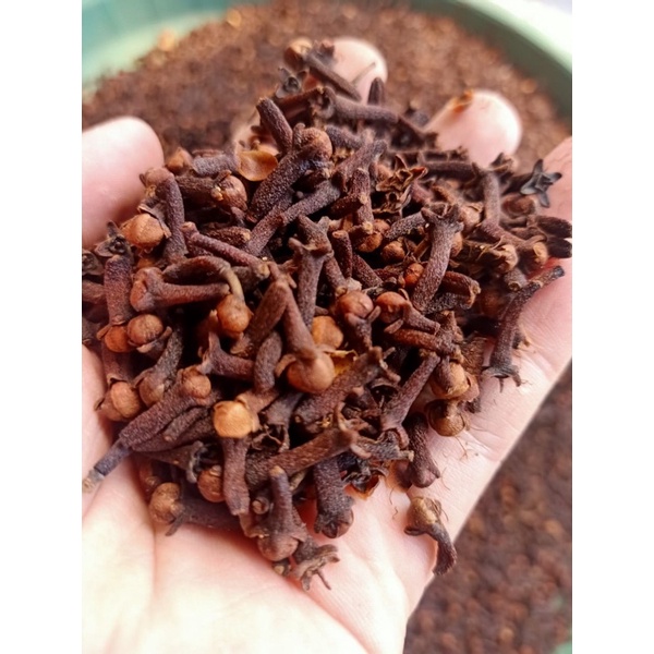 Jual Cengkeh premium 500 gram 1/2 kg kilo Clove Whole bunga Cengkih ...
