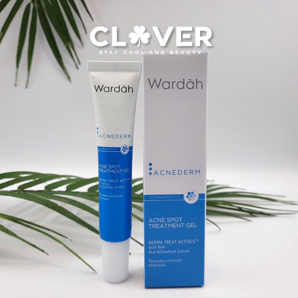 Jual WARDAH ACNEDERM ACNE SPOT TREATMENT GEL 15ML | Shopee Indonesia