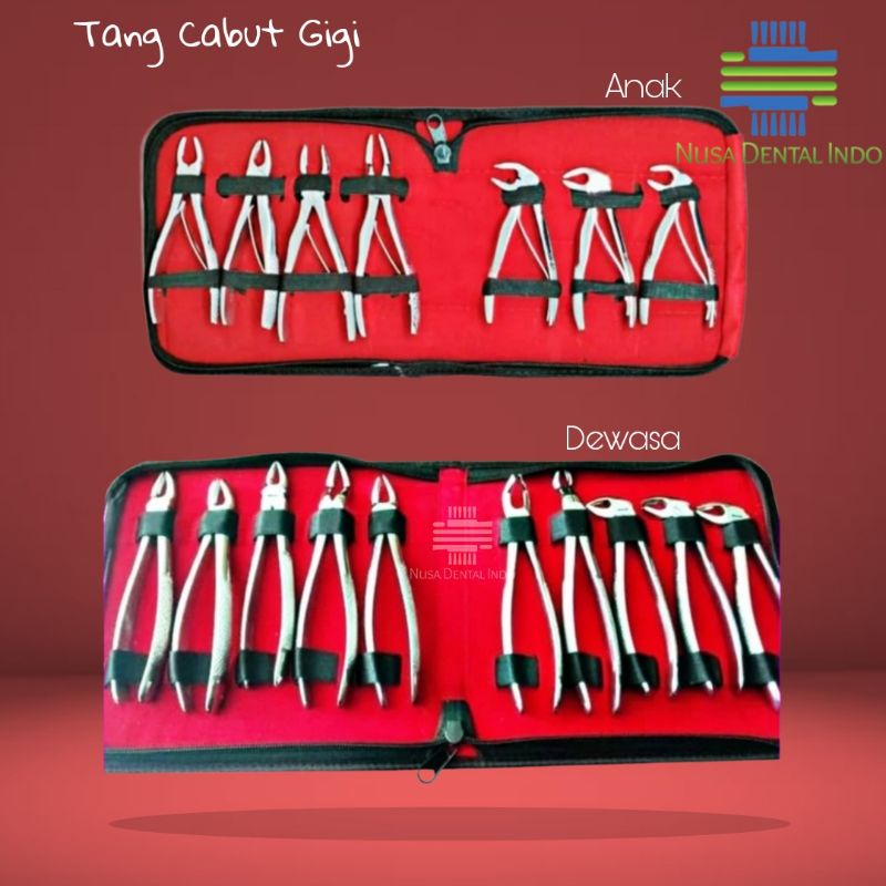 Jual Dental Tang Cabut Gigi Anak / Dewasa Tooth Forceps Adult Child Set ...