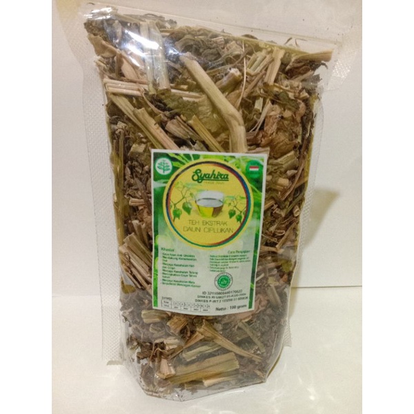 Jual TEH CURAH DAUN CIPLUKAN CECENDET MENINGKATKAN DAYA TAHAN TUBUH ...