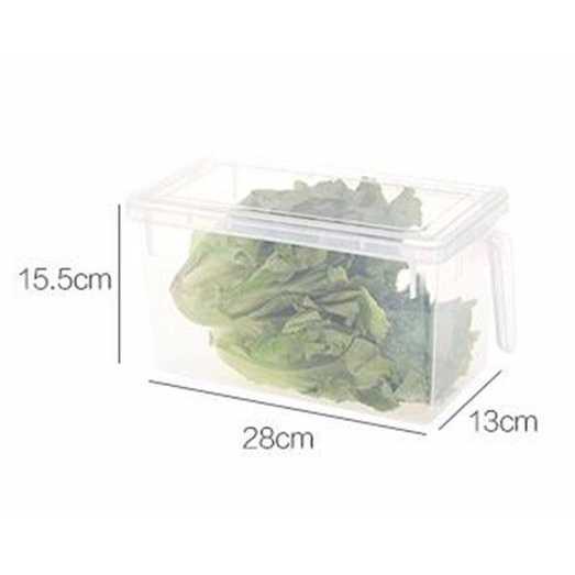 Jual Strongwell Kotak Kontainer Makanan Kulkas Kitchen Storage Food Box ...