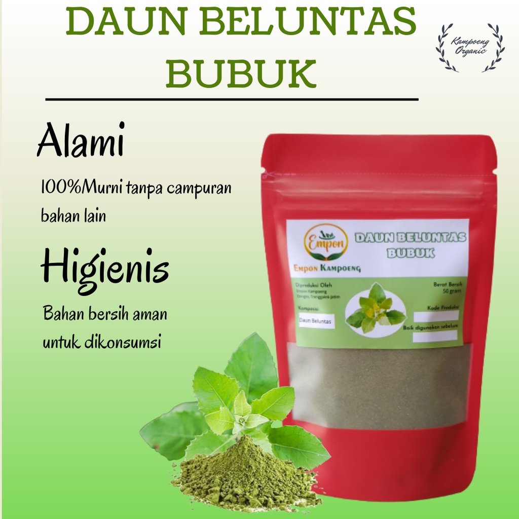 Jual Minuman Jamu Herbal Daun Beluntas Luntas Bubuk Serbuk Kering ...