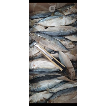 Jual Pedah putih ikan asin jumbo 1kg | Shopee Indonesia