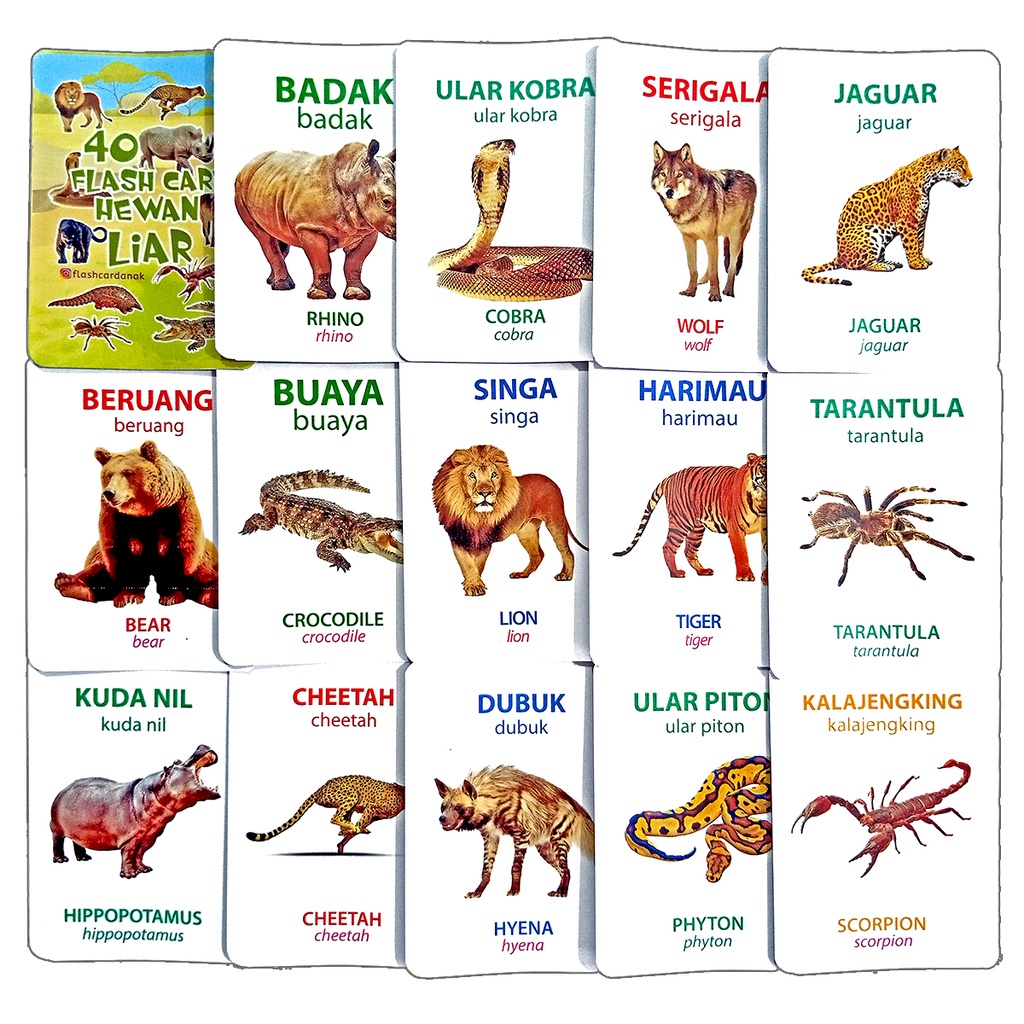 Jual Mainan Anak Kartu Edukasi Anak Flashcard Hewan Liar | Shopee Indonesia