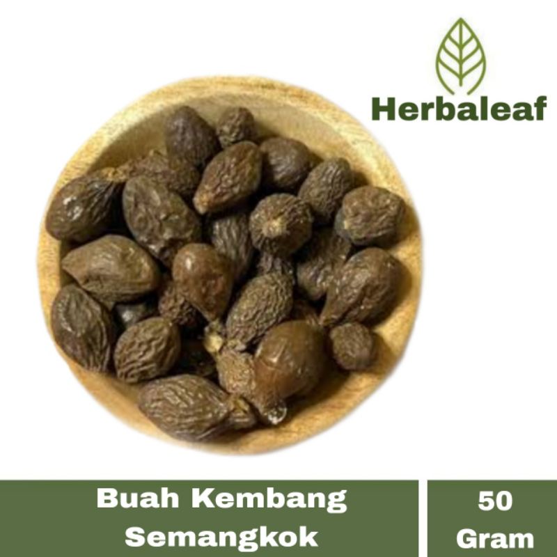 Jual Buah Kembang Semangkok - Buah Tempayang - Phang Thai Hoi - Malva ...