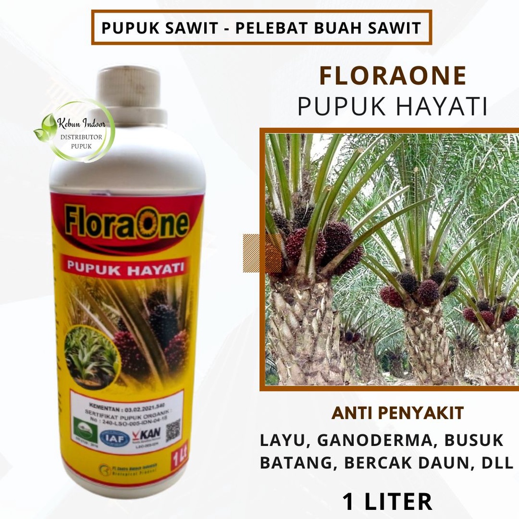 Jual Pupuk Sawit Agar Cepat Berbuah, Fungisida Penyakit Daun Kuning ...