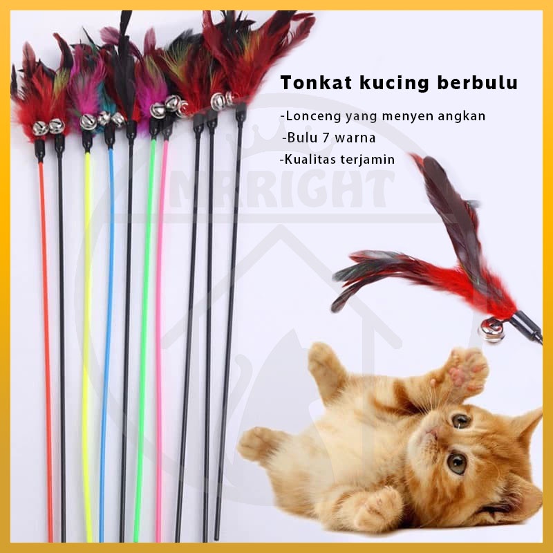 Jual mainan lucu kucing tongkat kucing berbulu dengan warna berelatis ...