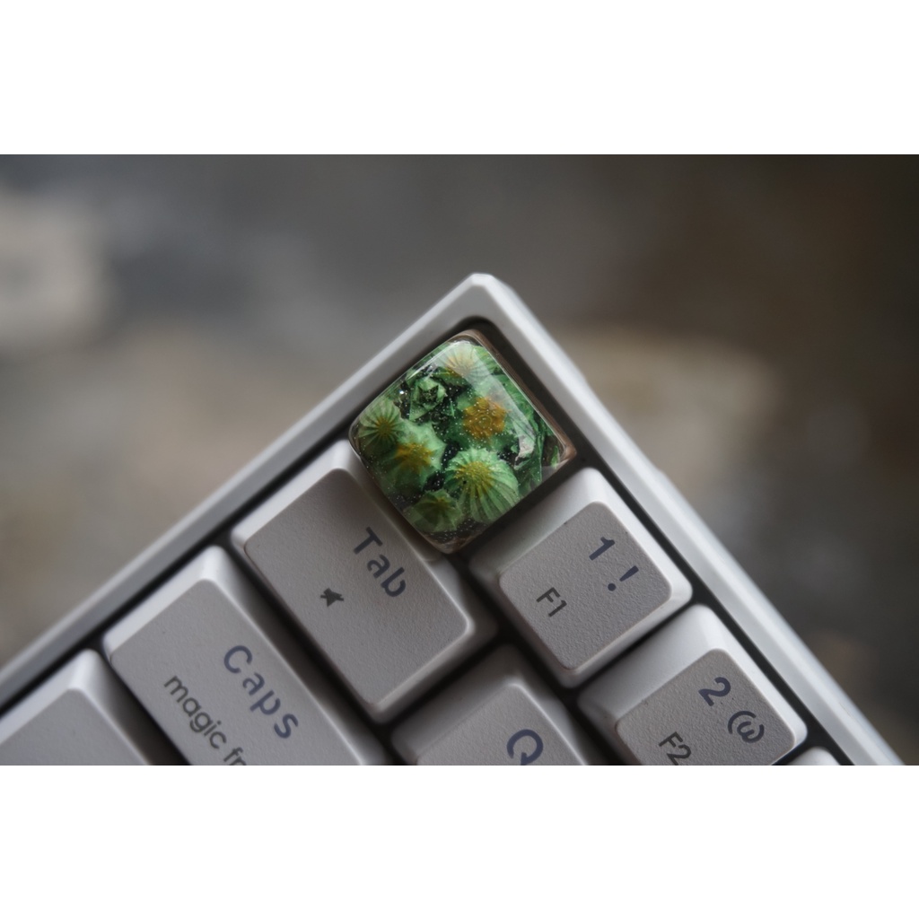 Jual Artisan Keycap Garden Kaktus Cactus Dom profile Switch MX ...