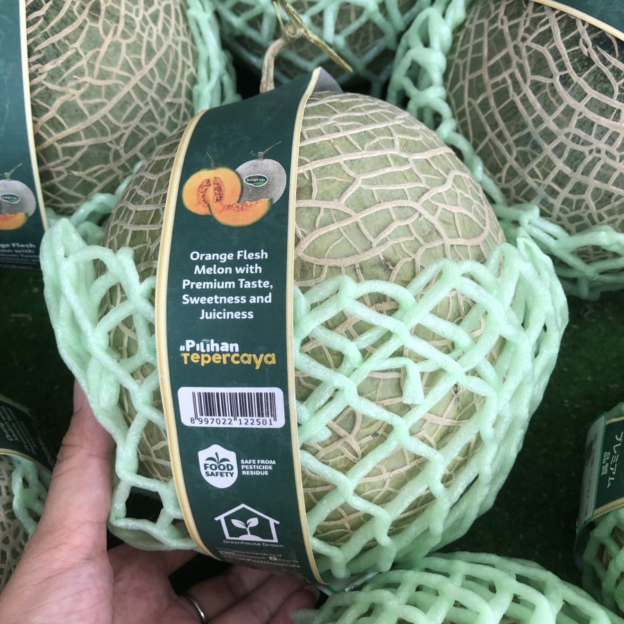 Jual Melon Fujisawa Orange Sunpride Premium -+ 1,5 kg | Shopee Indonesia