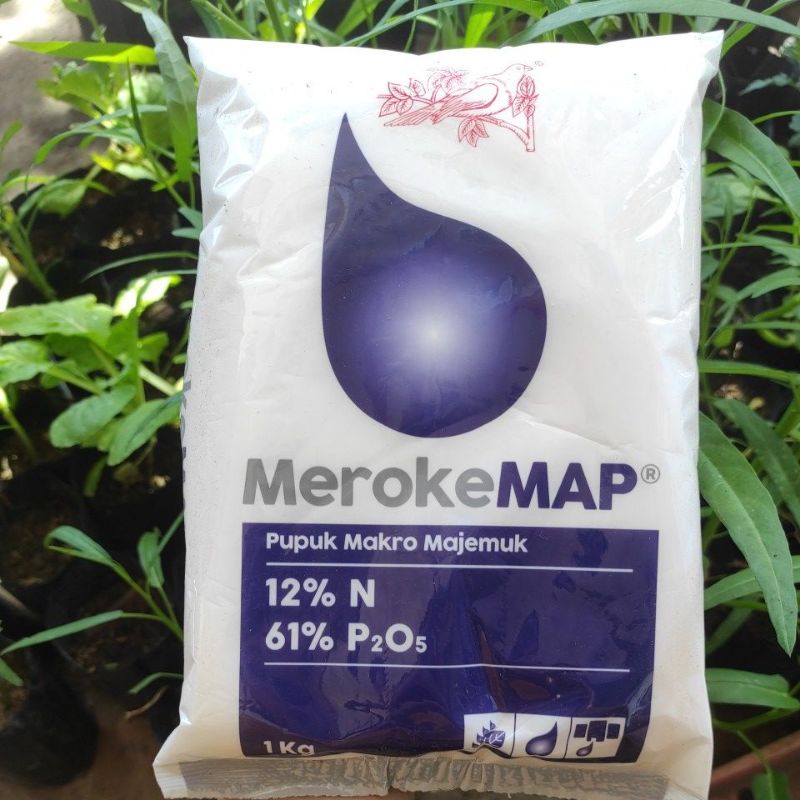 Jual Meroke MAP 1KG | Shopee Indonesia