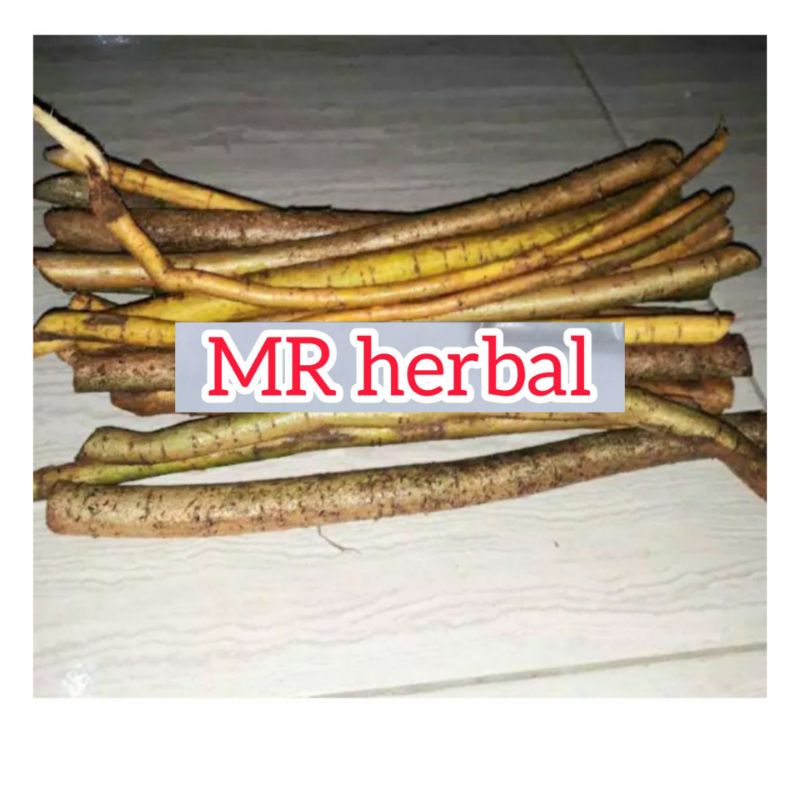 Jual Akar tuba segar per 1 kg pestisida organik | Shopee Indonesia