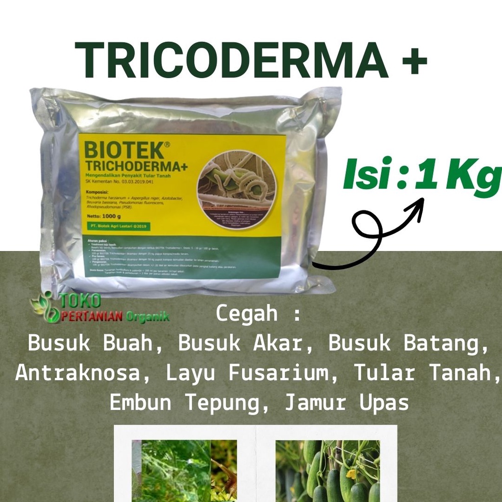 Jual Pupuk Tricoderma Cegah Penyakit Akar Gada Tanaman Kubis, Biotek ...