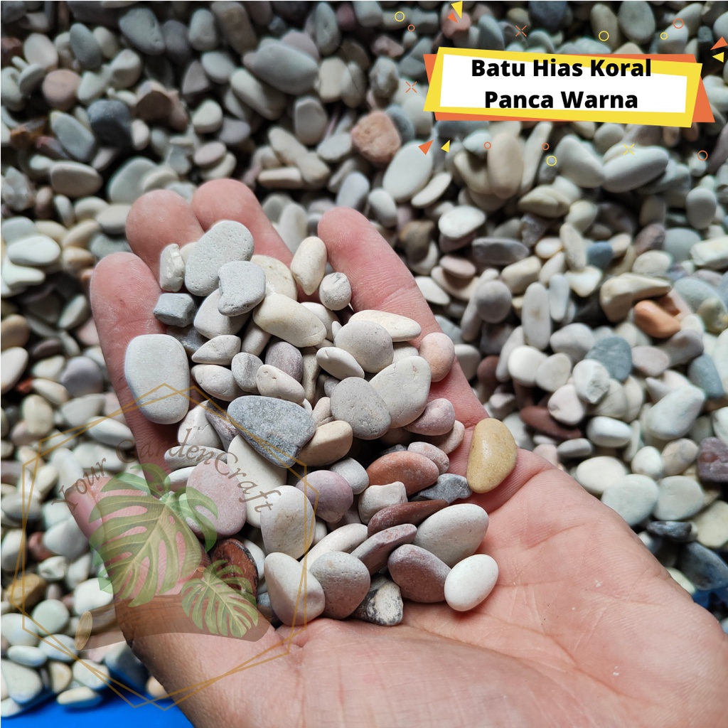 Jual [JM_Garden] Batu Hias Koral Kecil Panca Warna / Batu Hias Taman / Batu Hias Dasar Kolam ...
