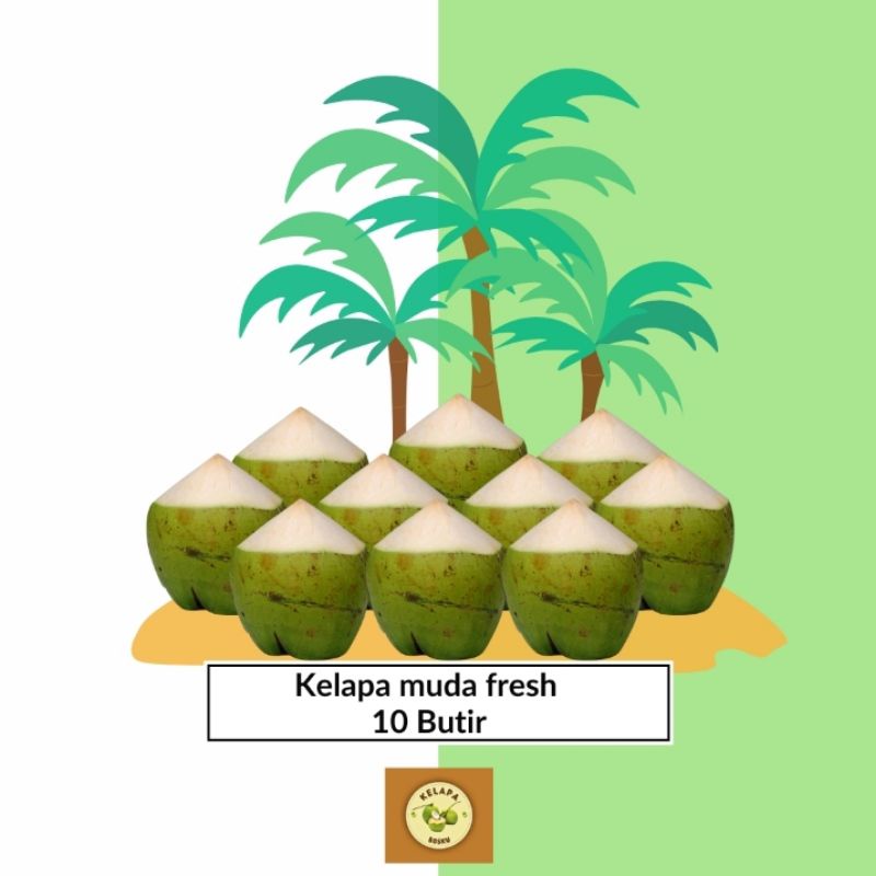 Jual kelapa muda segar / kelapa muda fresh (10 butir) | Shopee Indonesia