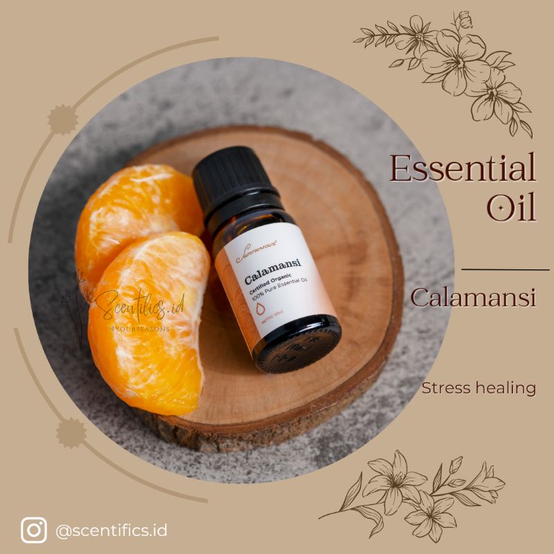 Jual SUMMERSCENT Calamansi Essential Oil | Shopee Indonesia