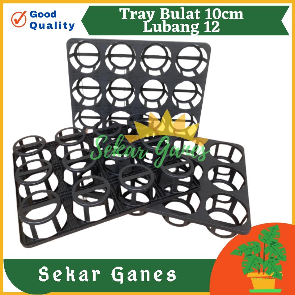 Jual MURAH PROMO Tray Bulat 10cm Lubang 12 Untuk Anggrek/Pot Semai Pot ...