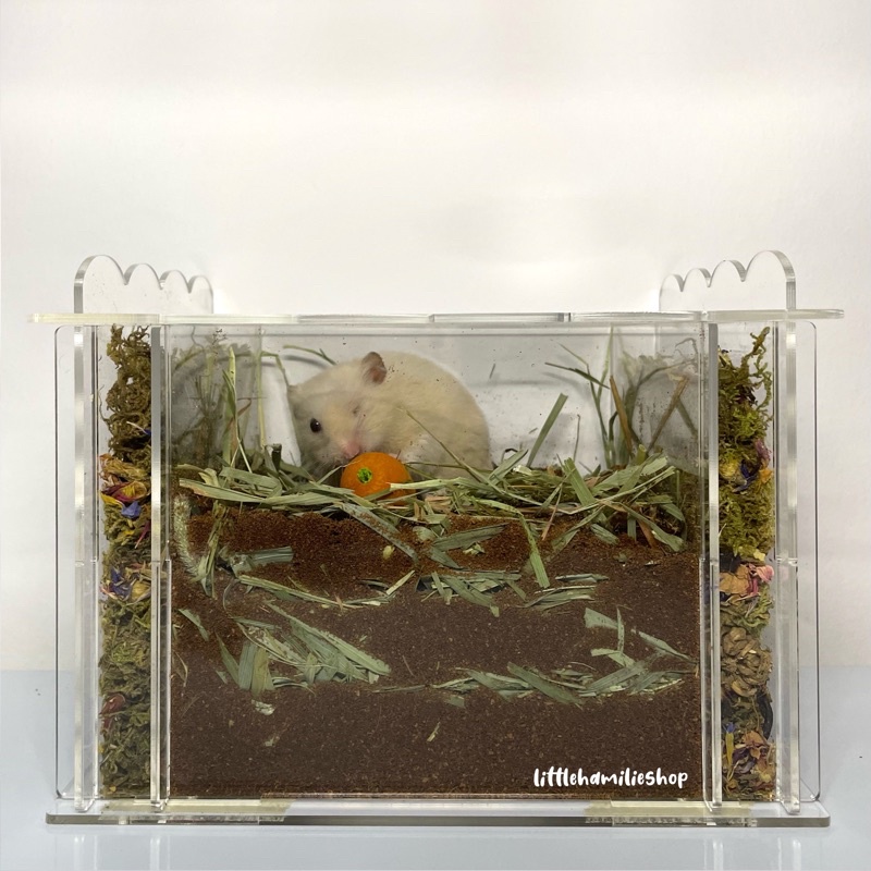 Jual HORU - Acrylic Hamster Digging Box | Toilet Tempat Mandi Pasir ...