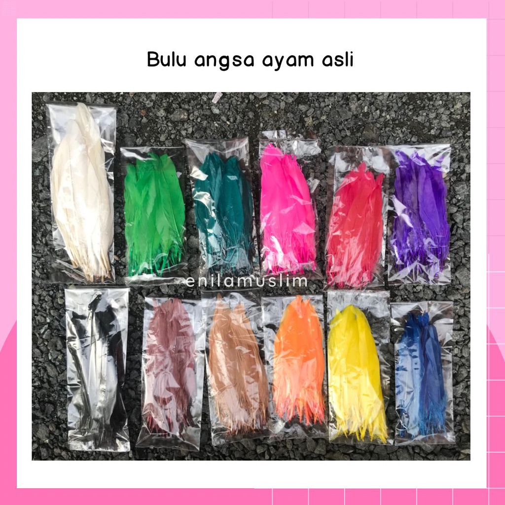 Jual BULU ANGSA AYAM ASLI UJUNG LANCIP WARNA WARNI HASUS PANJANG MURAH ...