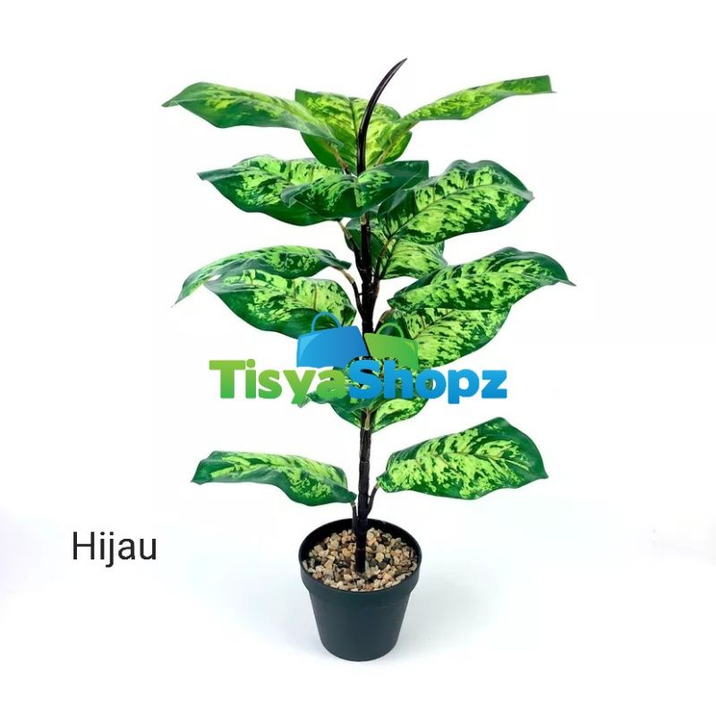 Jual Pohon Ketapang Biola Besar Semi Latex Tinggi 70 cm / Bunga plastik ...