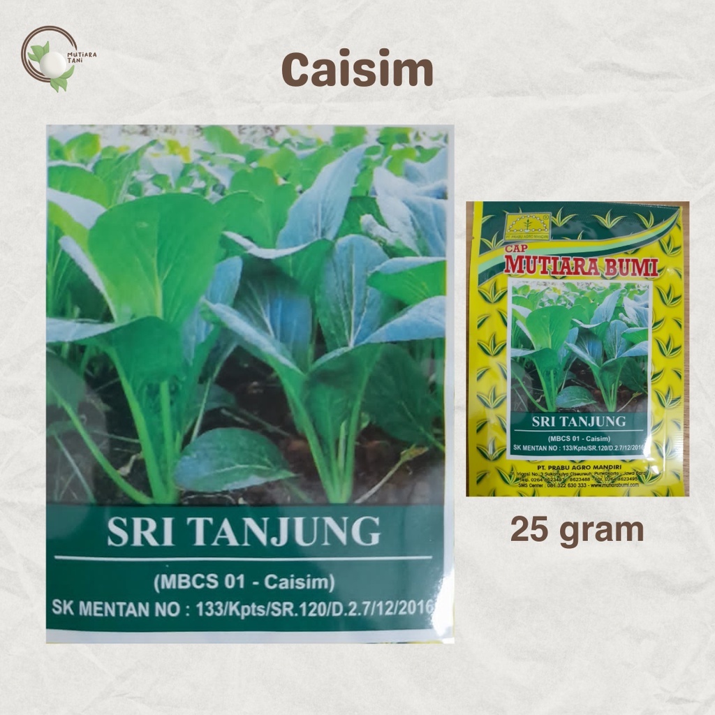 Jual BENIH CAISIM SRI TANJUNG CAP MUTIARA BUMI | 25 gram | Shopee Indonesia
