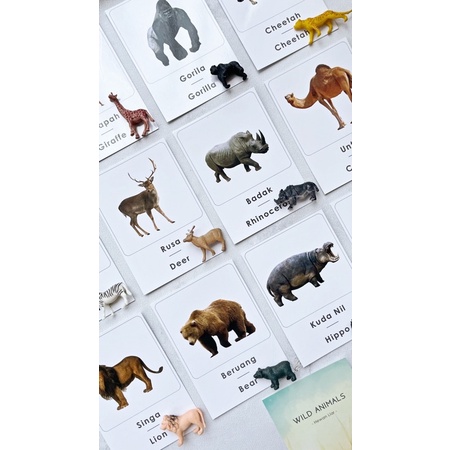 Jual LILOMILO Flashcard Animal montessori/flash card binatang ...