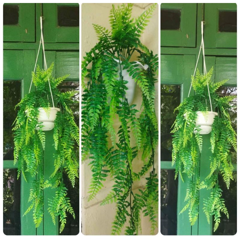 Jual bunga daun gantung pakis Boston plastik juntai artificial | Shopee ...