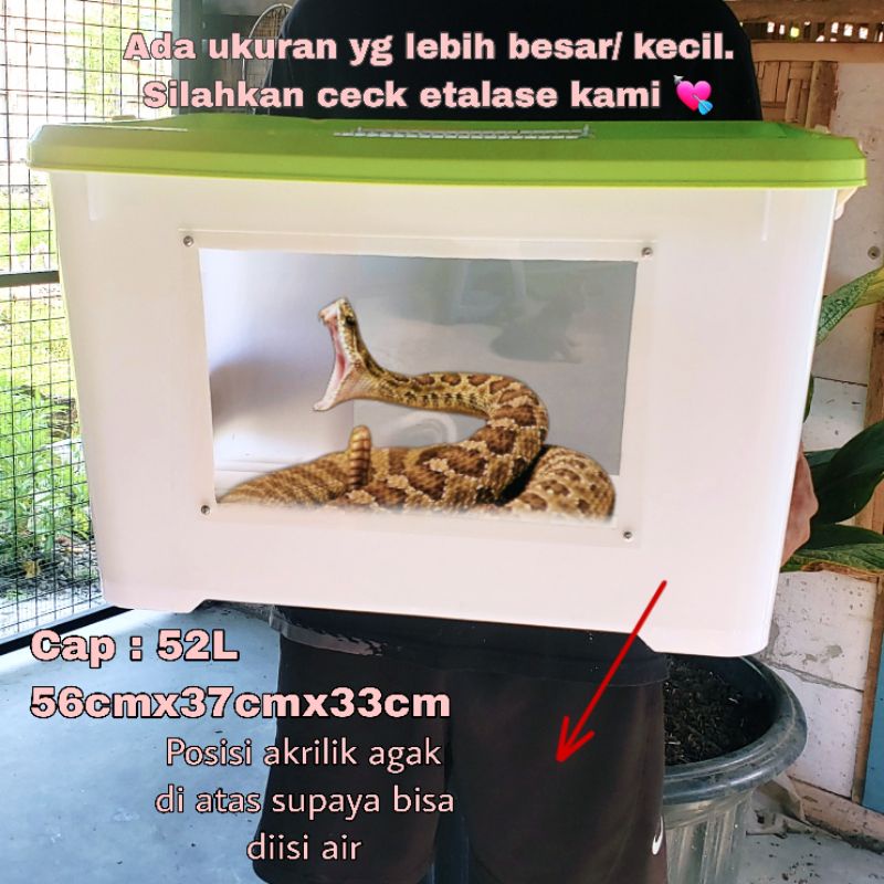 Jual BOX Reptile | box Ular kandang Ular | Box reptil | kandang biawak ...
