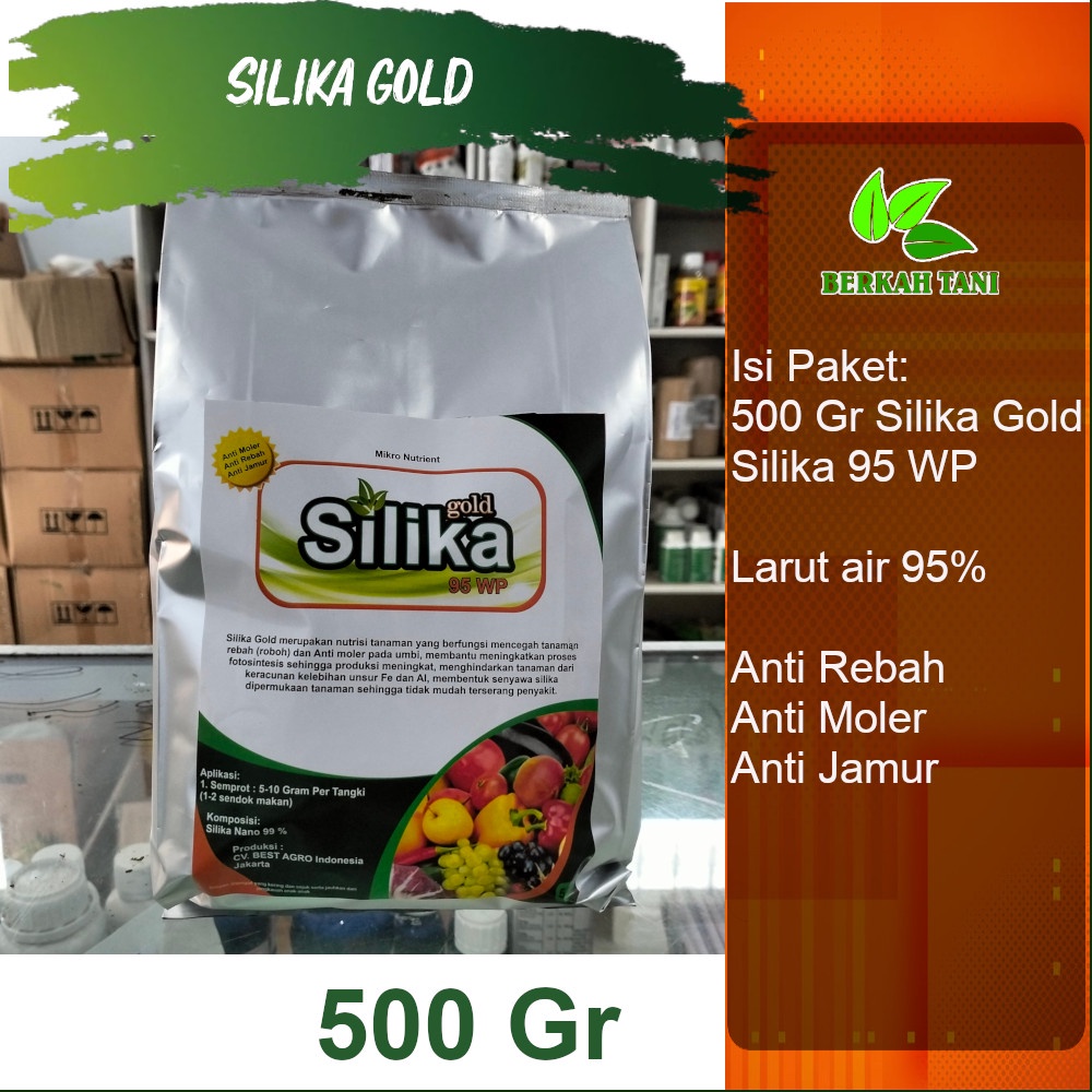 Jual Silika Gold 500 Gram Pupuk Silika Anti Rebah Anti Moler | Shopee ...