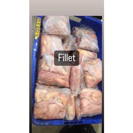 Jual Ikan Gabus FILLET Tawar / 1KG / Ikan Gabus Sungai FILLET | Shopee ...