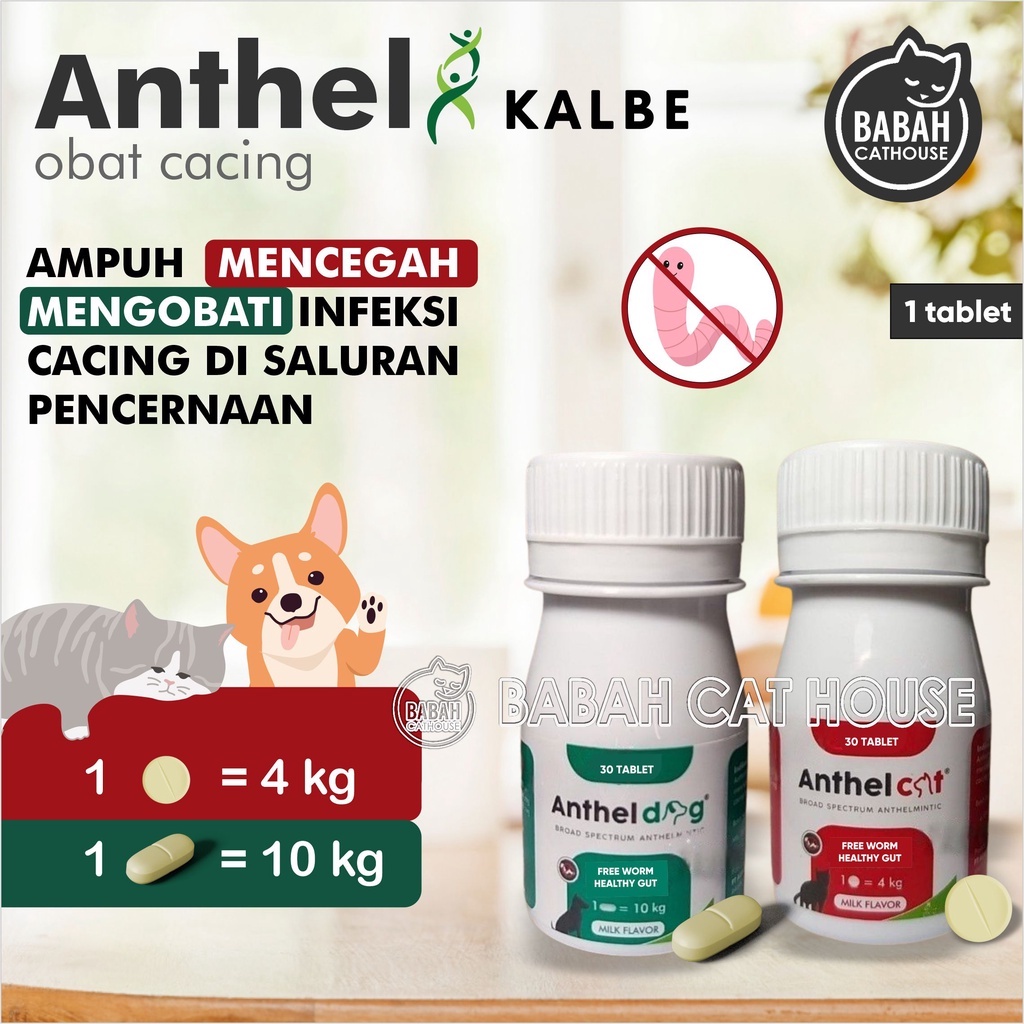 Jual ANTHEL Obat Cacing Kucing Anjing Cat Dog Tablet Murah Ampuh Untuk ...