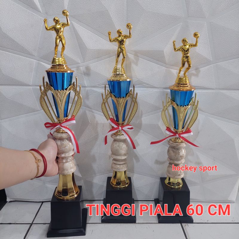 Jual Trophy Piala Voli Volli Trophy Custom Sepak Bola Tenis Meja ...