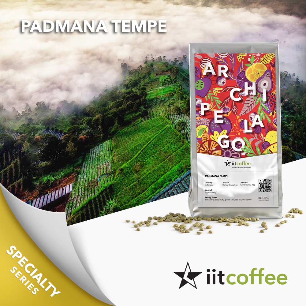 Jual Arabica Green Beans - Padmana Tempe - 1Kg | Shopee Indonesia