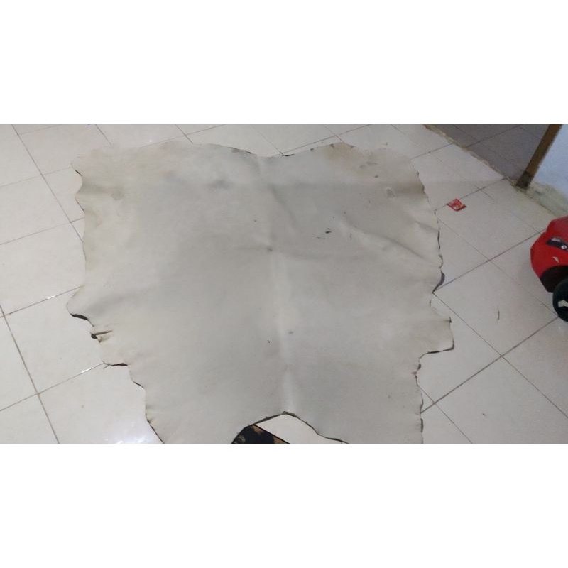 Jual Karpet bulu kulit sapi Asli 1000% | Shopee Indonesia